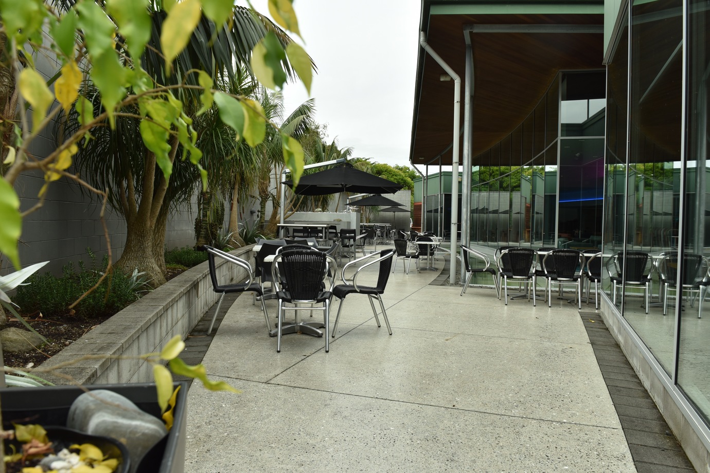 Manurewa Cossie Club | Gallery